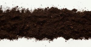 7 Types Of Soil On Earth’s Surface | JBM Global School