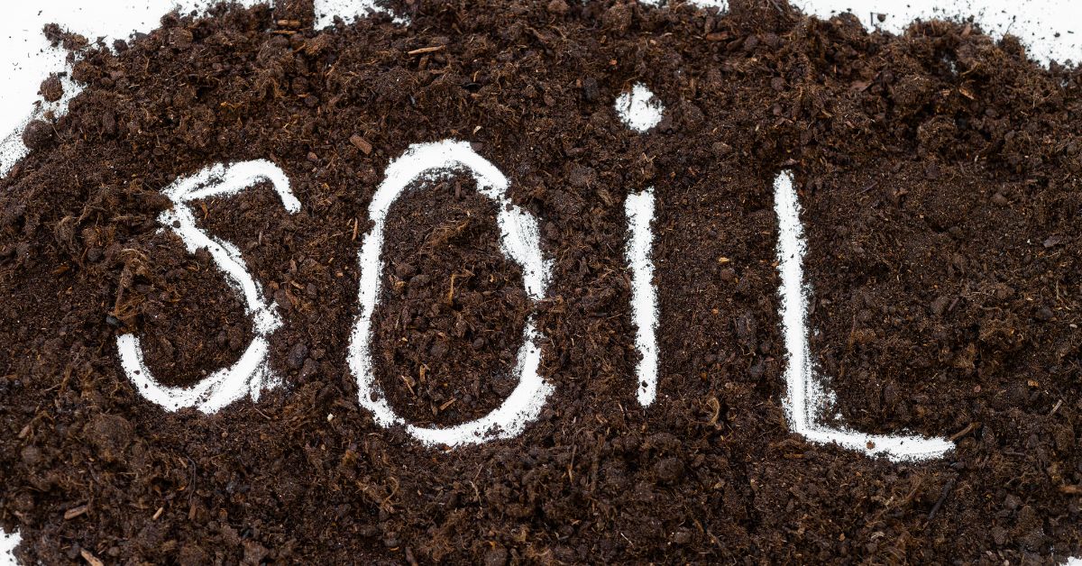 7 Types Of Soil On Earth s Surface JBM Global School 7 Types Of Soil On Earth s Surface JBM Global School