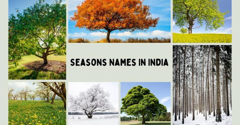 6 Season Names in English and Hindi with Months in India